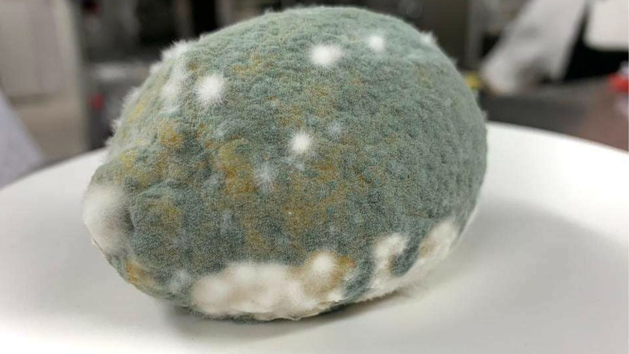 Este chef italiano servirá un limón con moho como postre - Más Magazine